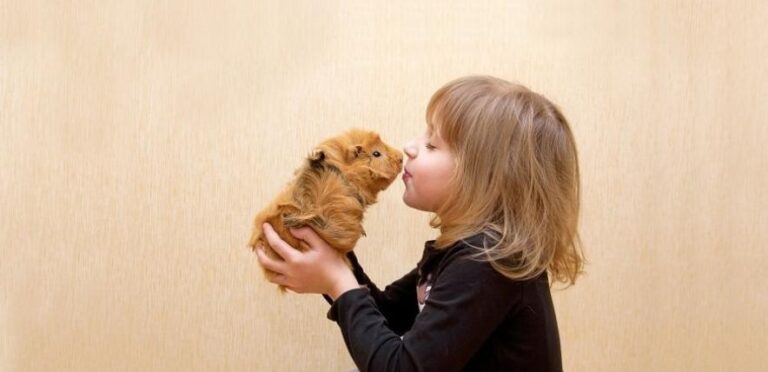 Paws for thought - First pets for your child - Lewisham Children ...